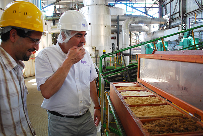 How Bulk Sugar Suppliers Can Deliver Added Value | Pure Sugars & Syrups