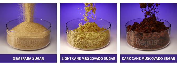 What is Cane Sugar and How is it Used? | Ragus